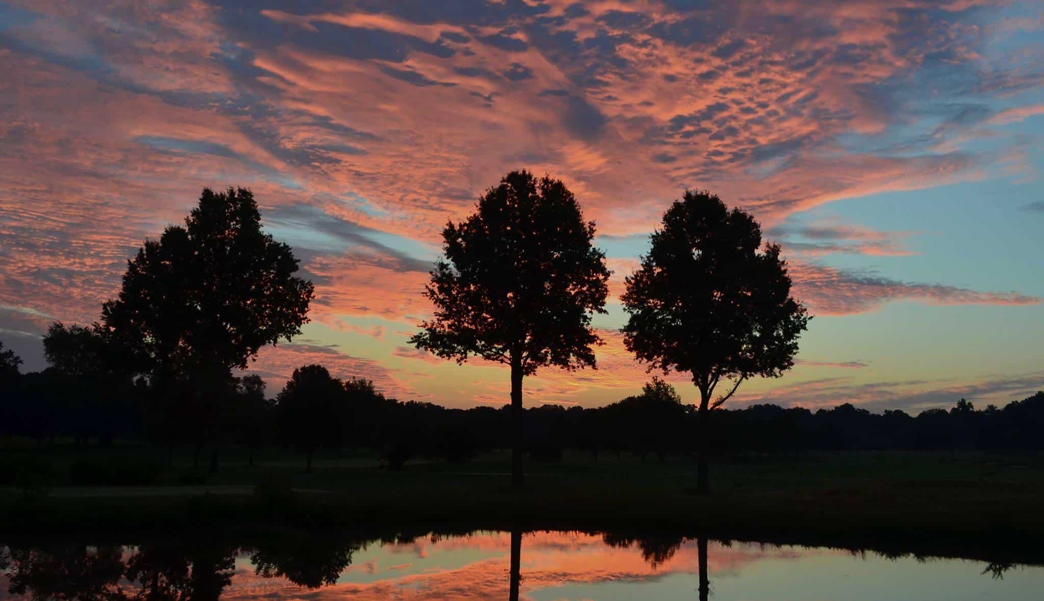 Gallery - Brookledge Golf Course